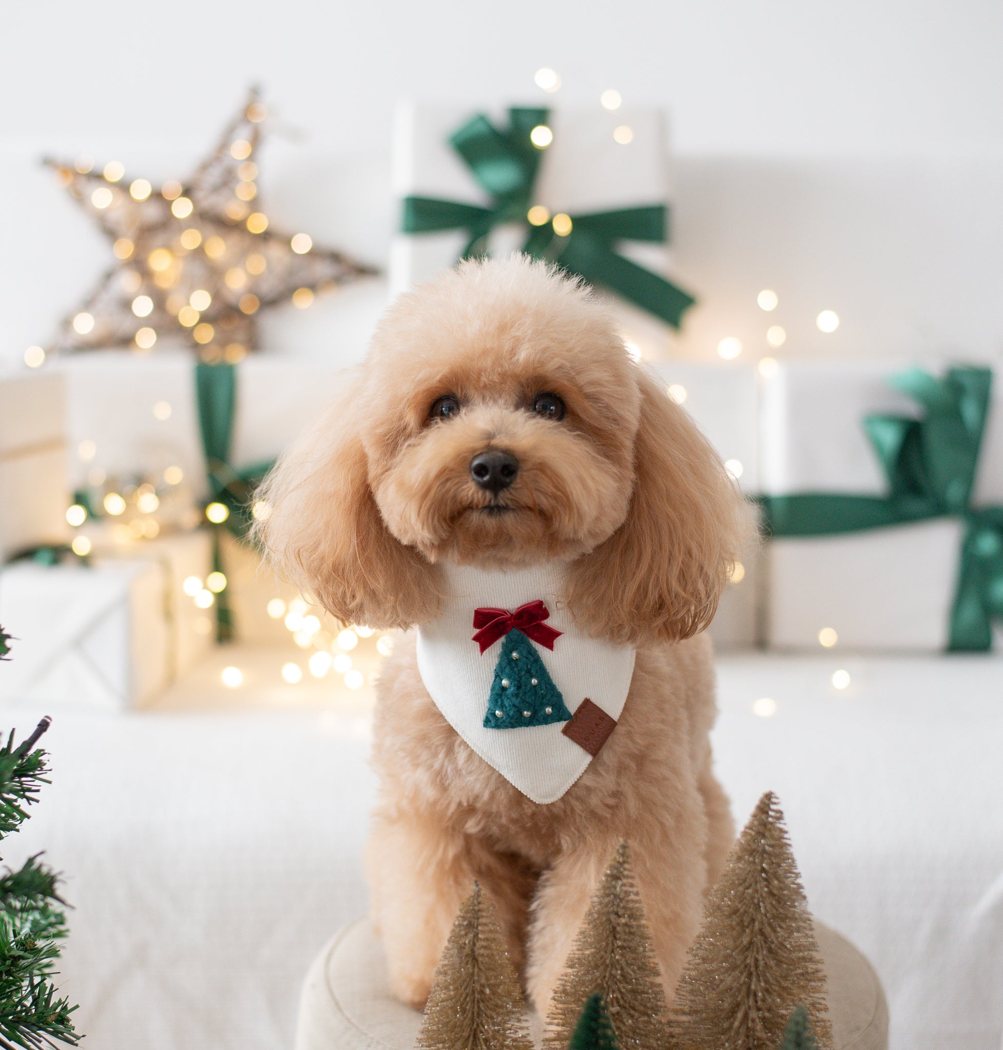 Bandana Christmas Tree – DUAS for pets